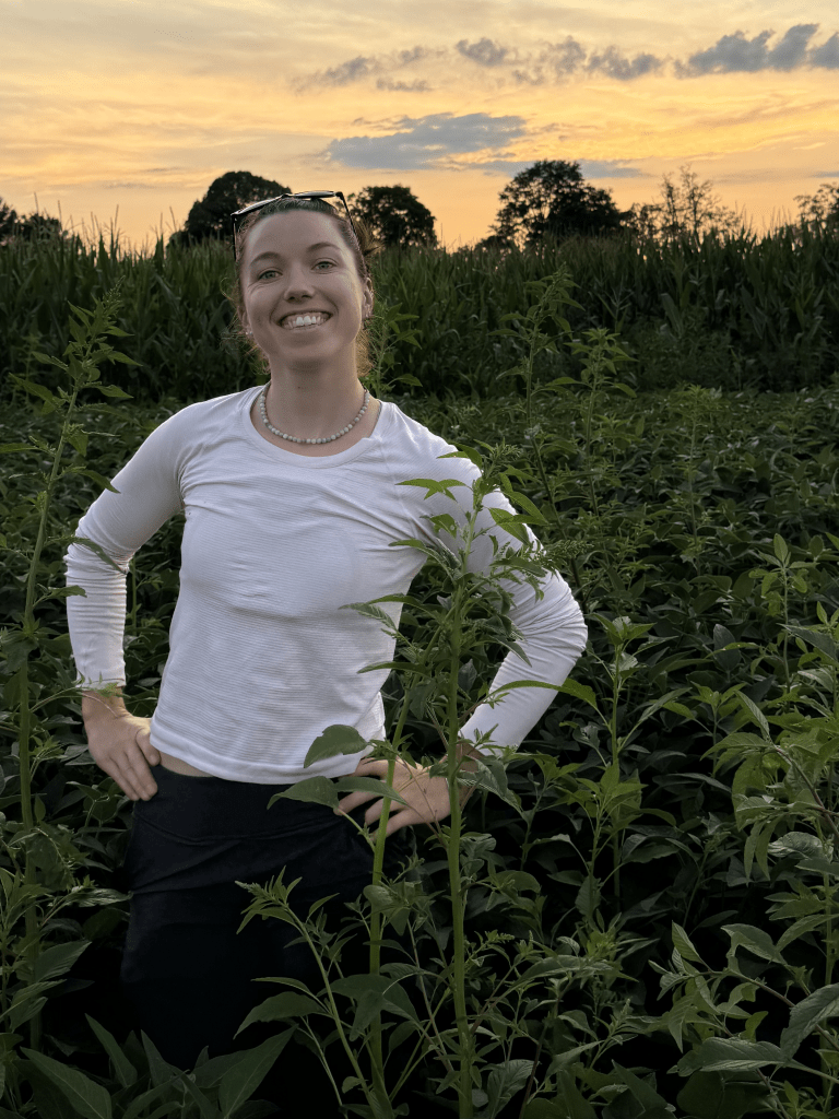 People & Values – Kreiner Lab